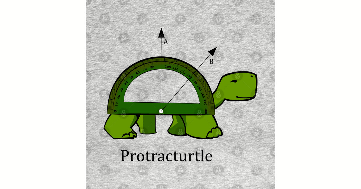 Protracturtle Funny Math Turtle Math T Shirt Teepublic